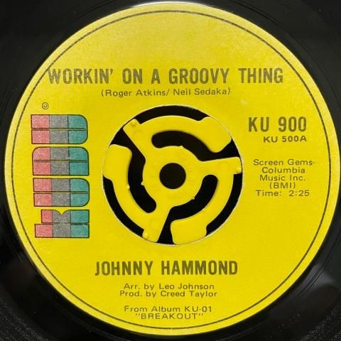 Johnny Hammond / Workin' On A Groovy Thing (7 Inch) - Vinyl Cycle Records